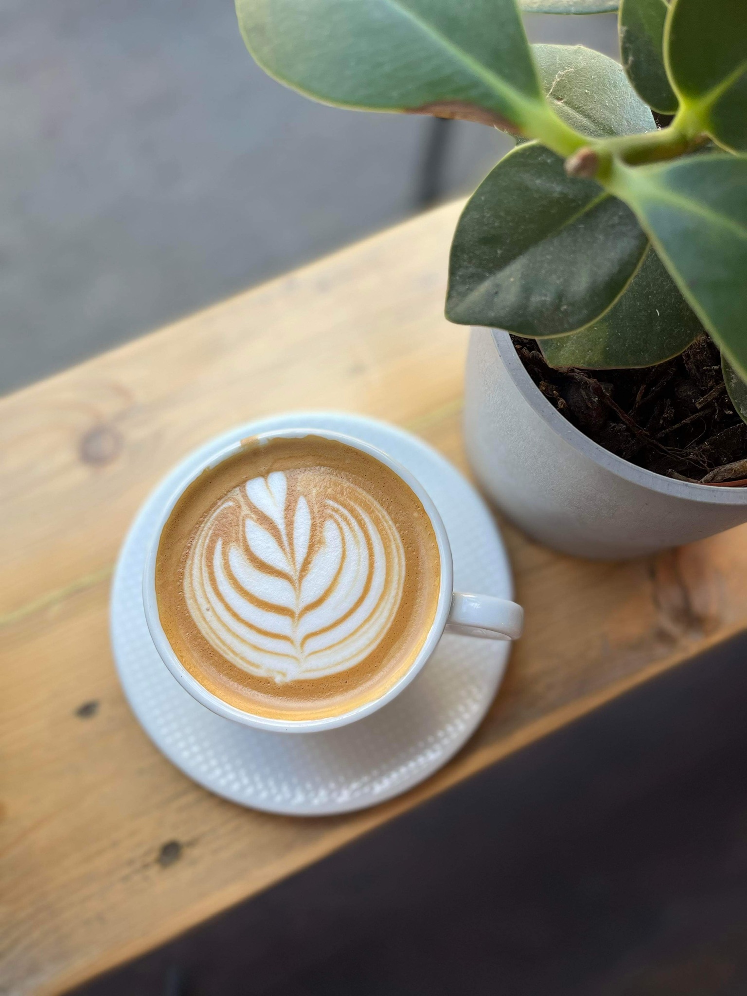 Kaffebaren – En god kop kaffe i Aalborg